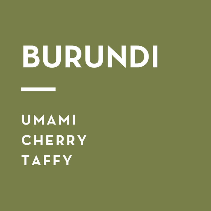 ALL COFFEE – Treeline Coffee Roasters